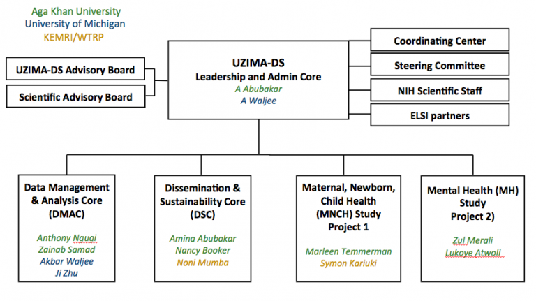 Organogram - UZIMA DS – The Aga Khan University